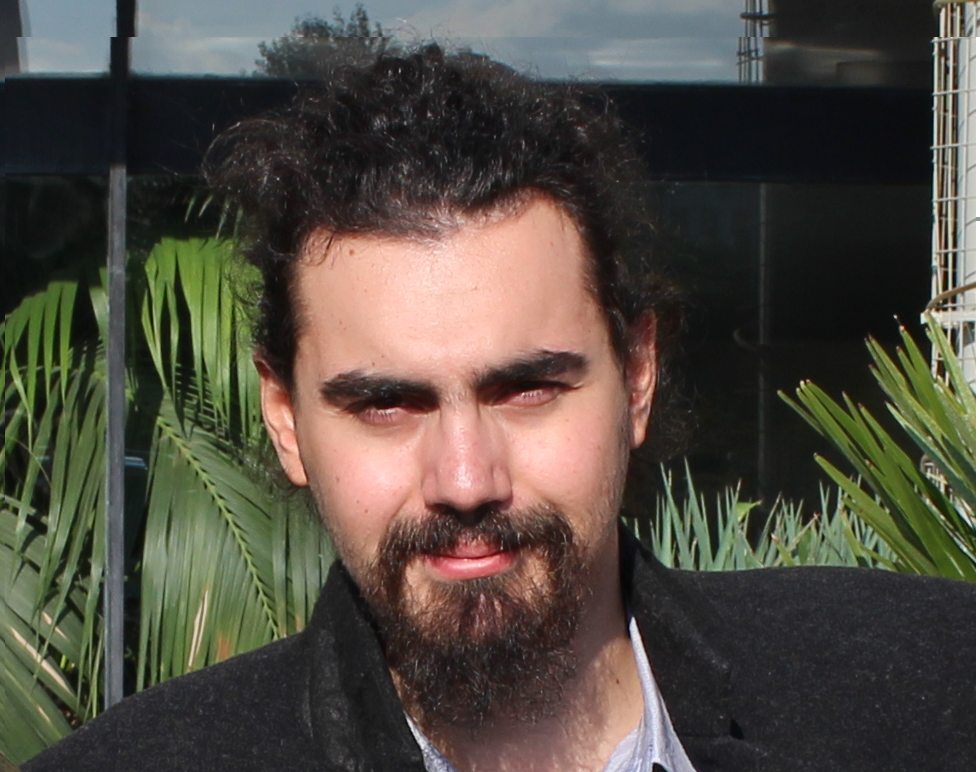2020 DEIS Graduate Fellowship Winners – Dielectrics and Electrical ...
