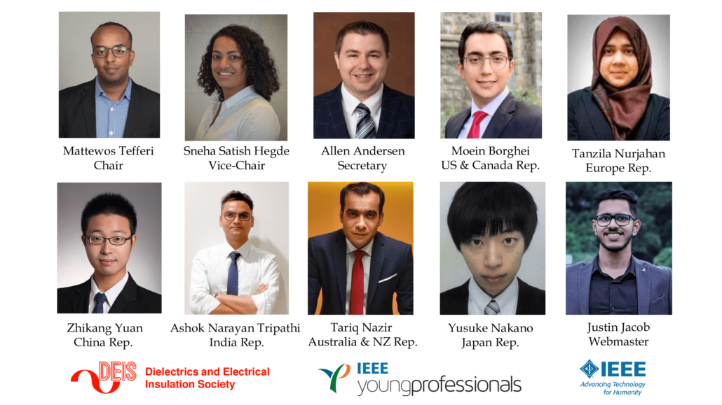 IEEE Young Professionals - Dielectrics and Electrical Insulation Society
